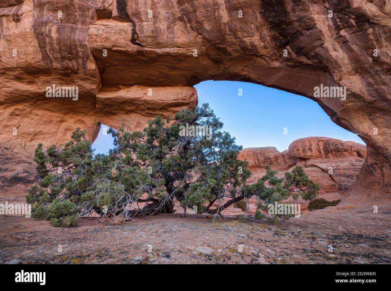 Partition Arch, Arches National Park, Utah, USA Stock Photo - Alamy