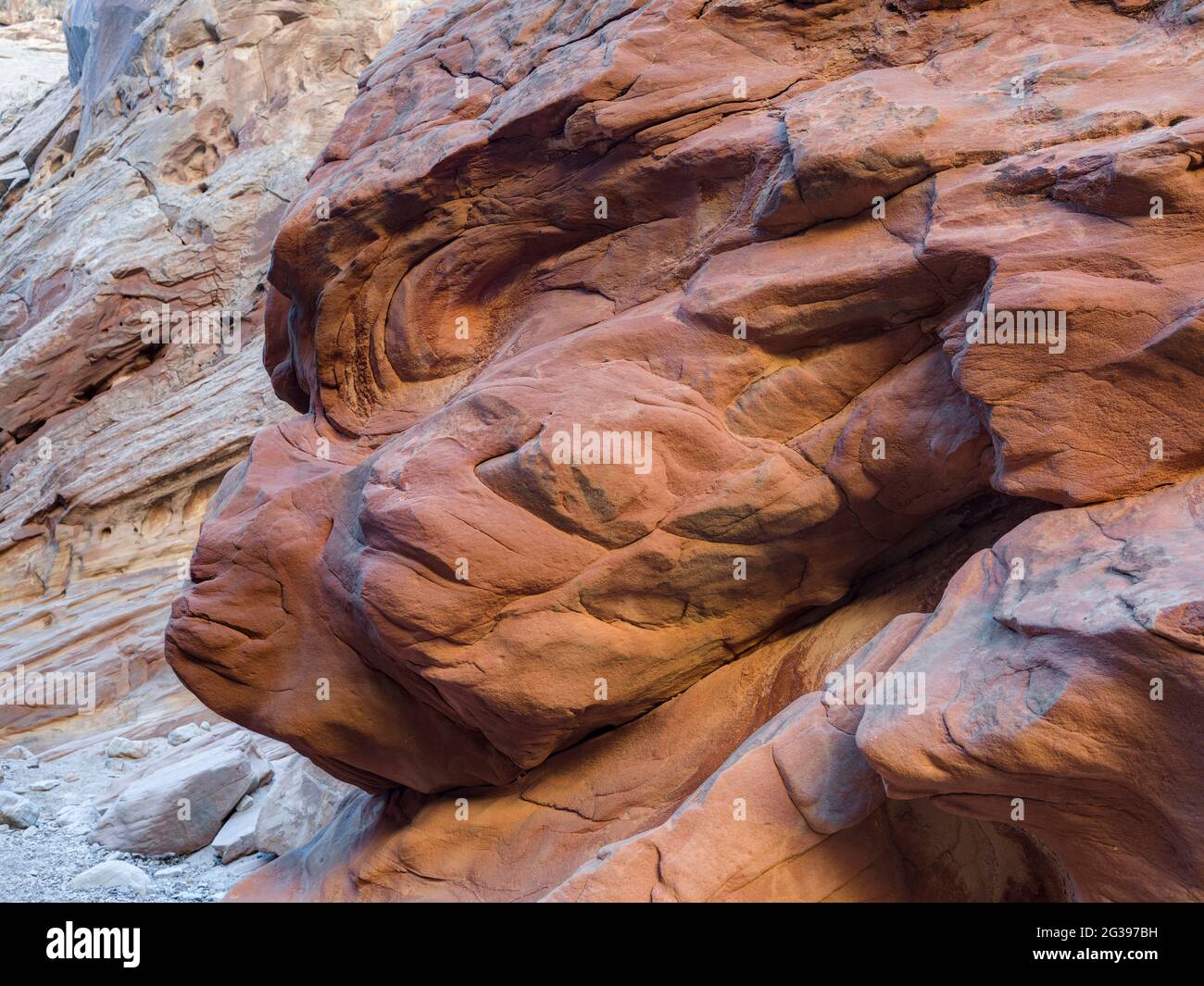 Horse head rock hi-res stock photography and images - Alamy