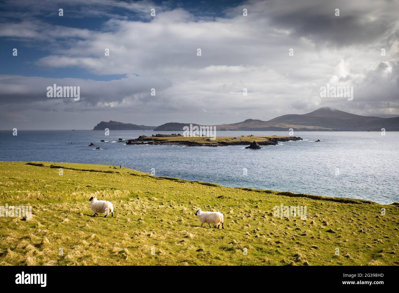 Great Blasket Island, Ireland Stock Photo - Alamy