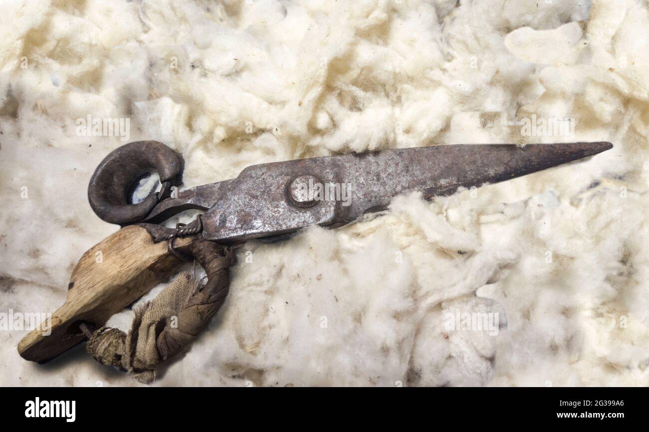 Shearing scisors with cork, wood and leather protections for fingers ...