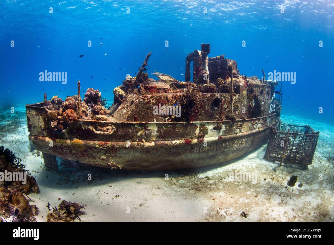 Ship wreck underwater. Scuba diving in Cozumel, Mexico Stock Photo - Alamy
