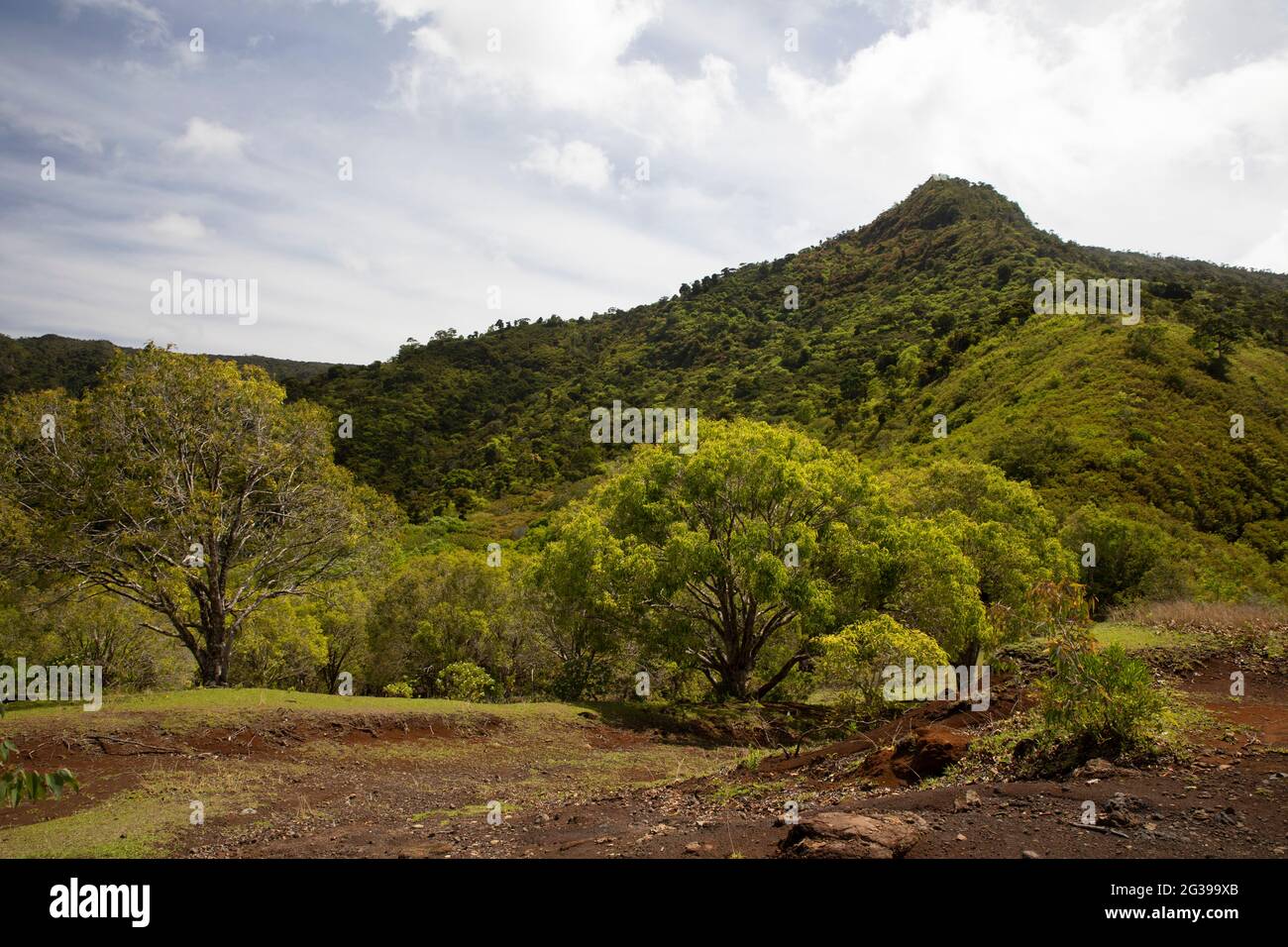 Black river gorge national park hi-res stock photography and images - Alamy