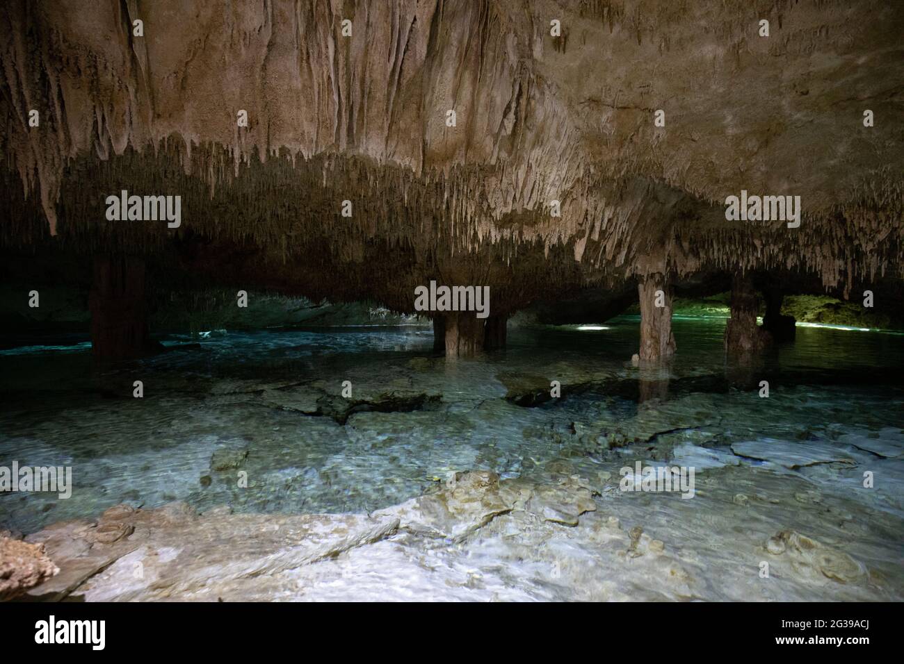 Cenoté in Yucatan, Mexico, blue shallow water in a cavern Stock Photo ...