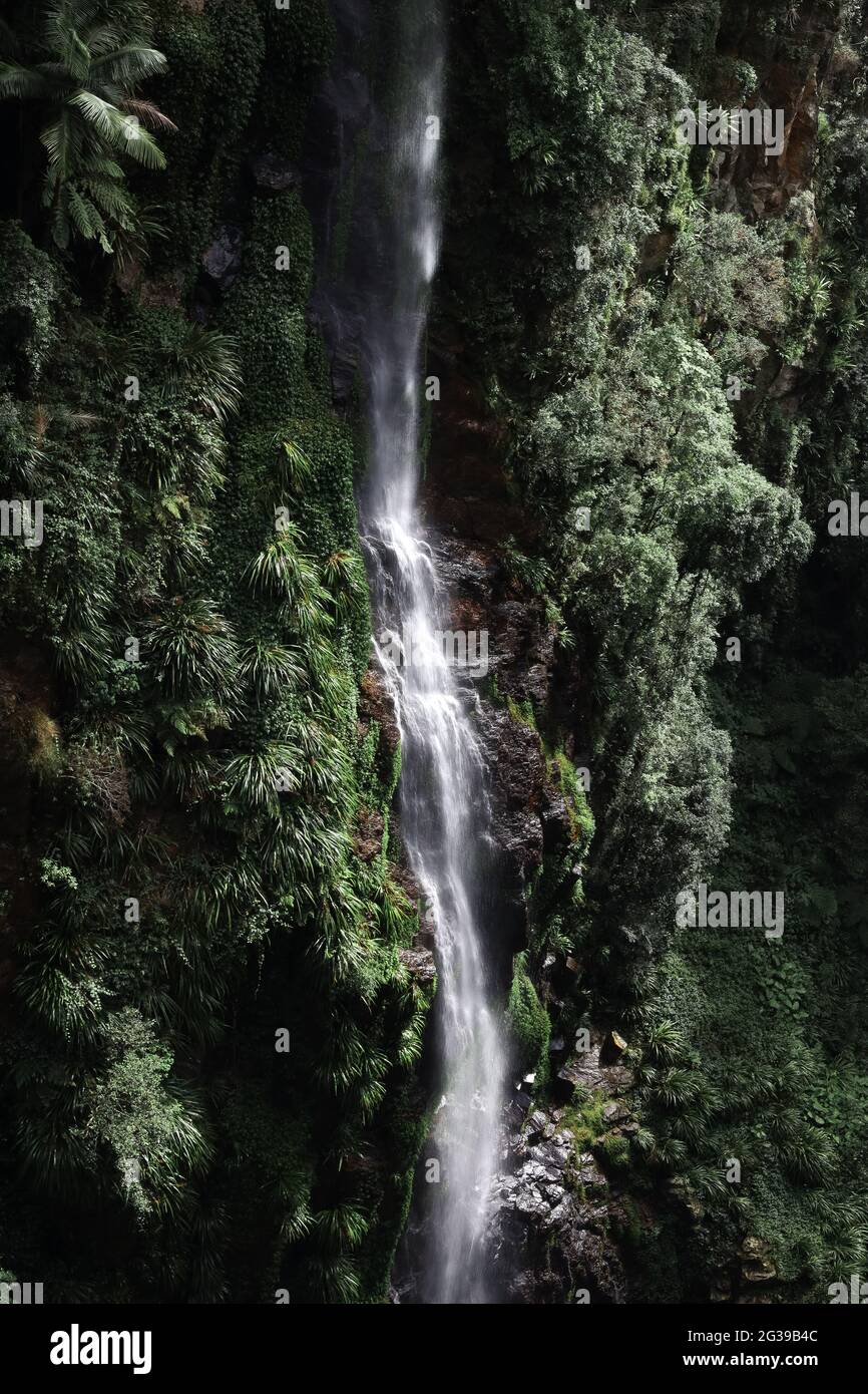 green is the prime color of the world Stock Photo - Alamy