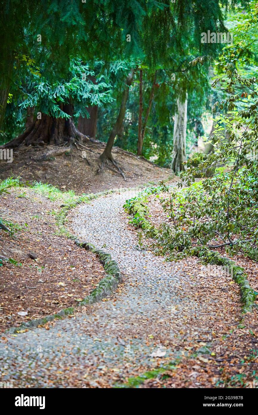 Beautiful green park path in Monza, Italy. Beautiful nature background ...