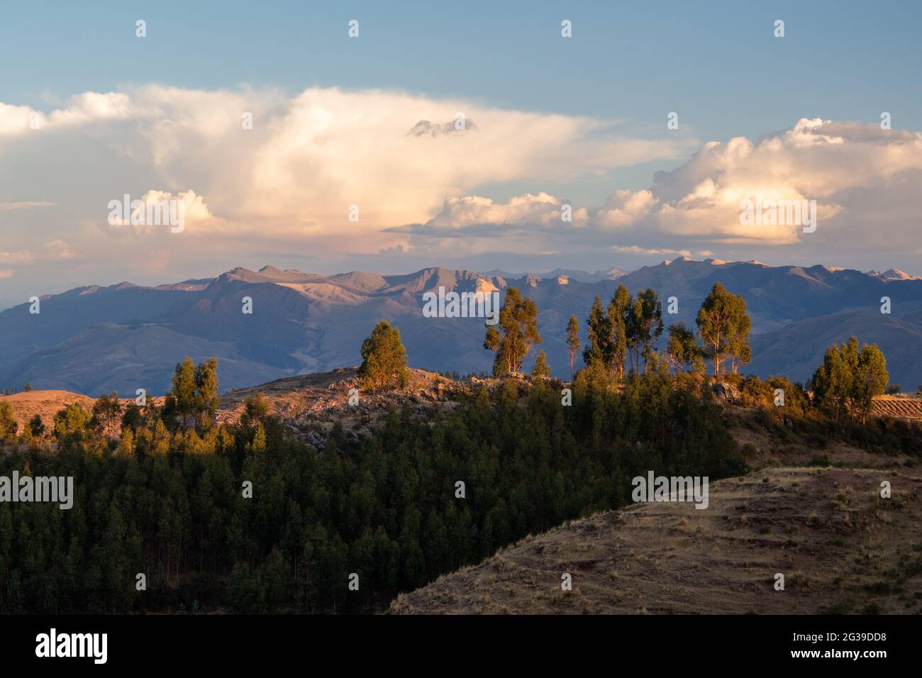 Puka pukura hi-res stock photography and images - Alamy
