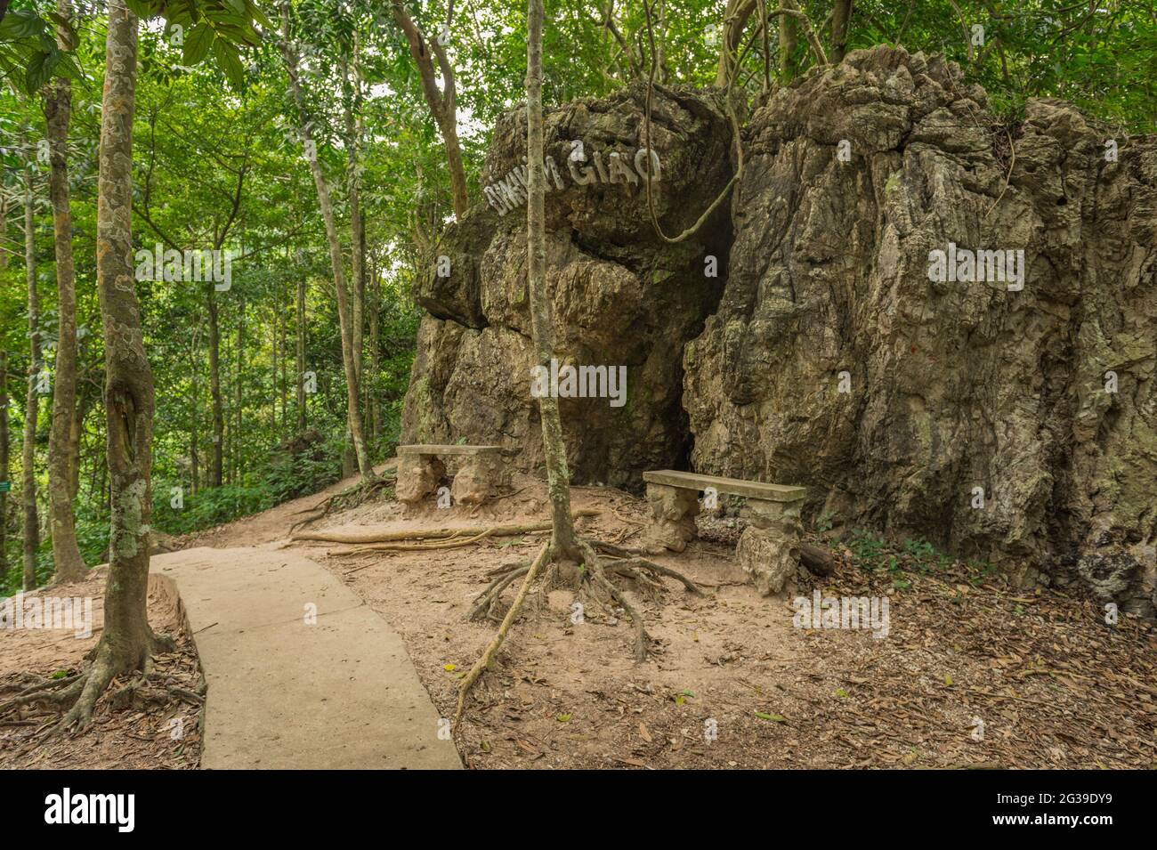 Benches along pathway through the forest at Cat Ba National Park ...