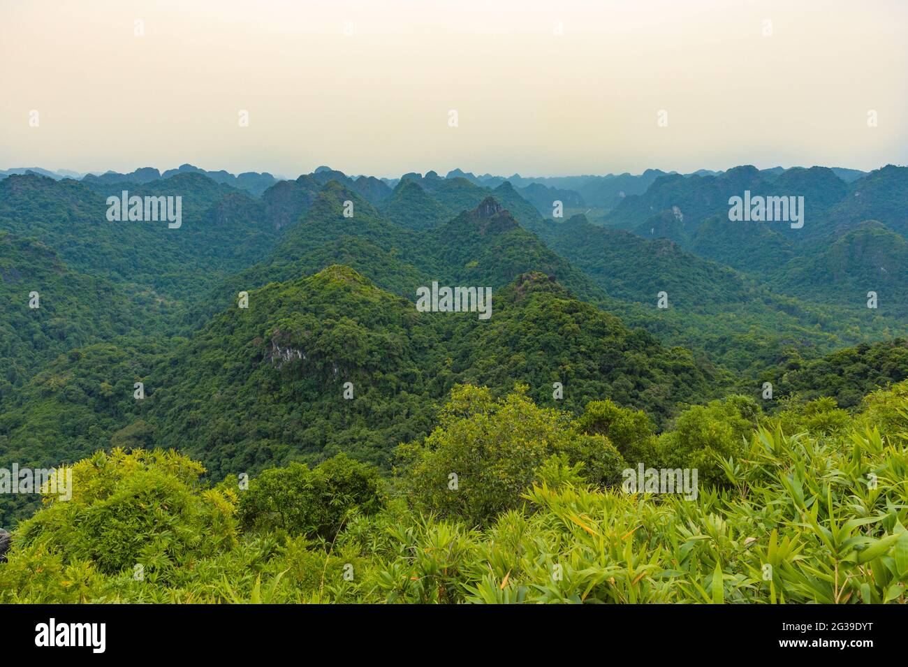 A view of the mountains at sunset at Cat Ba National Park, Vietnam ...