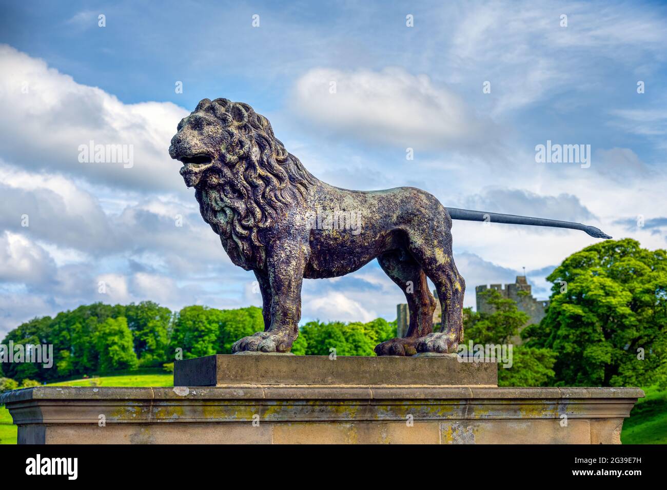ALNWICK, ENGLAND - JUNE 10th, 2021: statue of a lion with Alnwick ...
