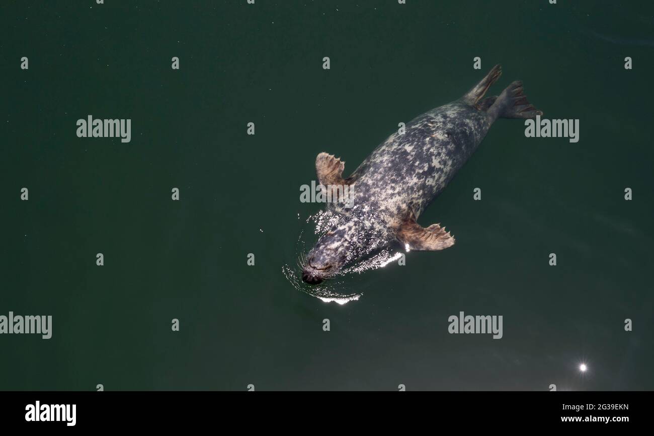 Chatham fishing pier hi-res stock photography and images - Alamy