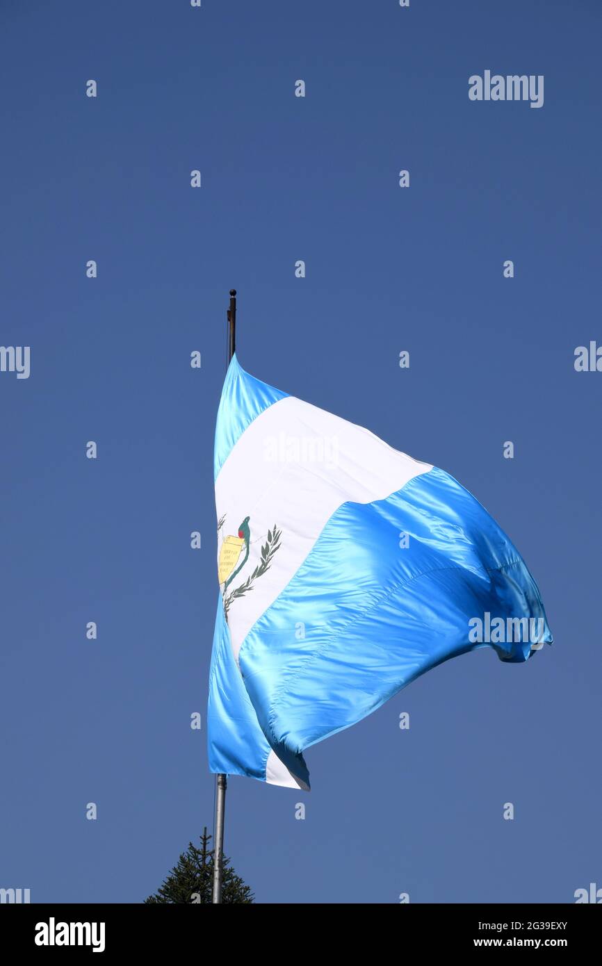 Flag of Guatemala, declared a national symbol on August 17, 1871 Stock ...