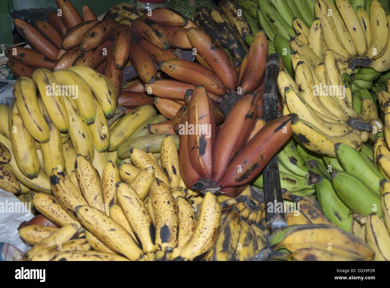 Bunch of bananas in Guatemala Stock Photo - Alamy