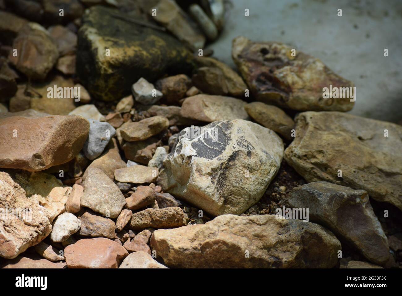 Fossil rocks hi-res stock photography and images - Alamy