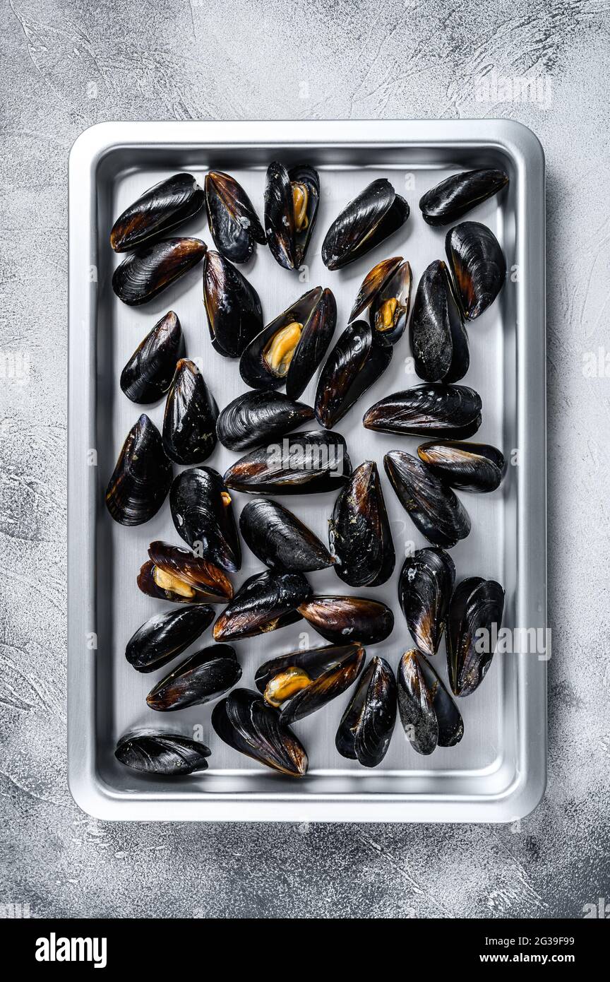 Raw blue mussels shells in kitchen steel tray. White background. Top ...