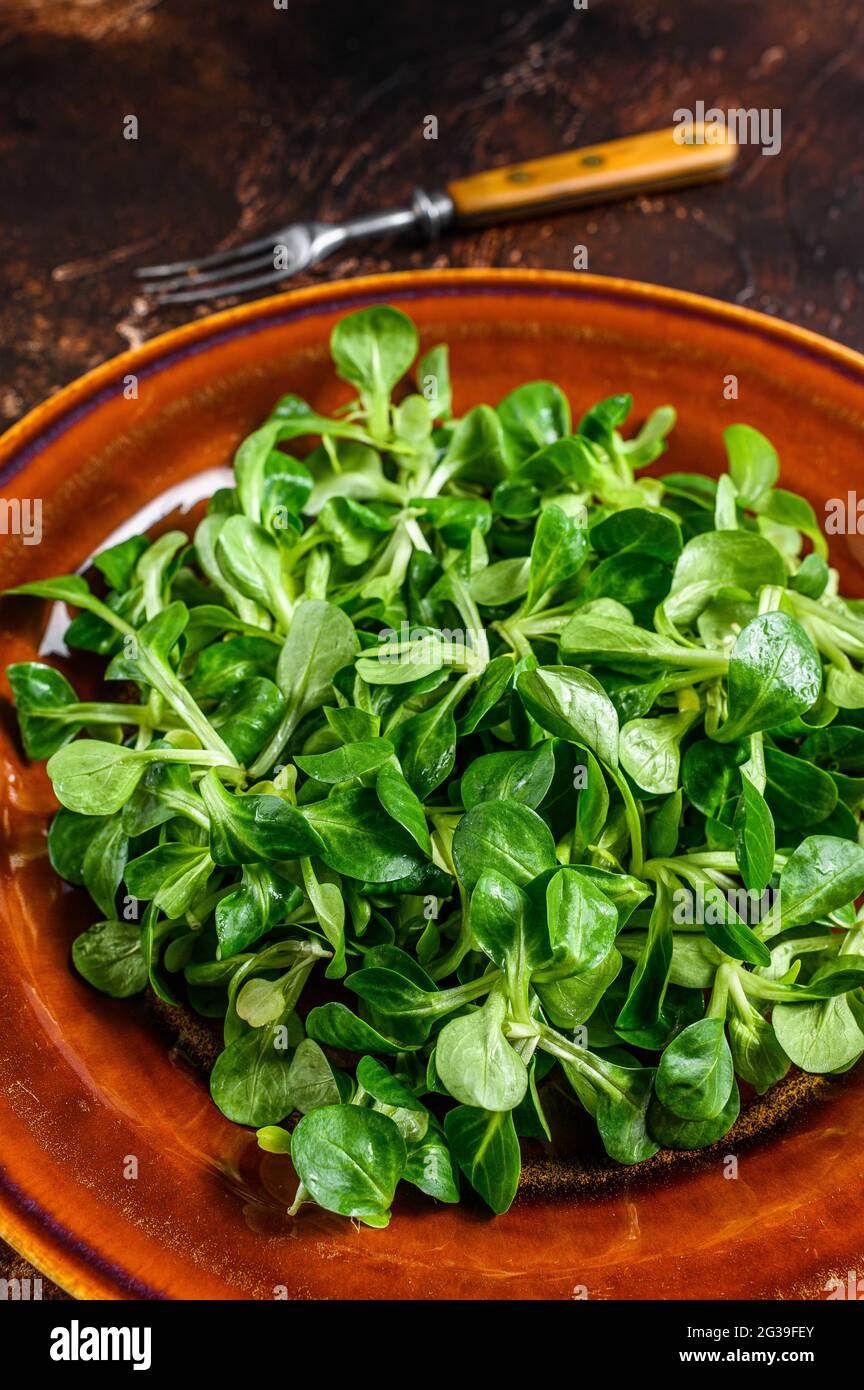 Fresh green corn salad leaves on a rustic plate. Dark background. Top ...