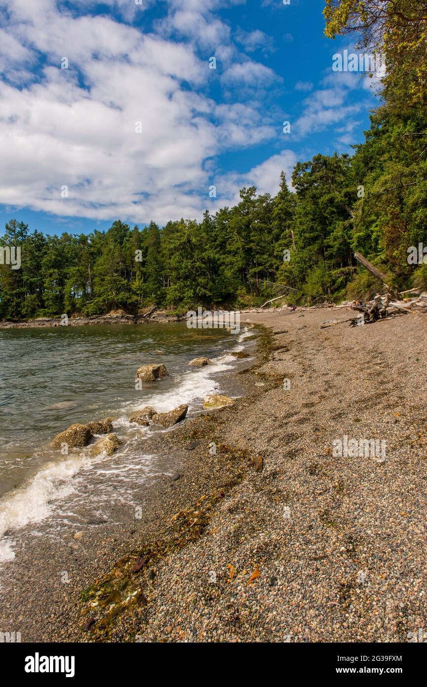 Obstruction pass state park trail hi-res stock photography and images ...