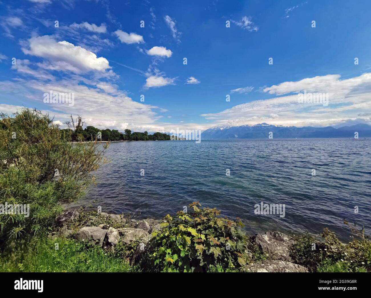 the Geneva Lake in Lausanne Switzerland Europe Stock Photo - Alamy