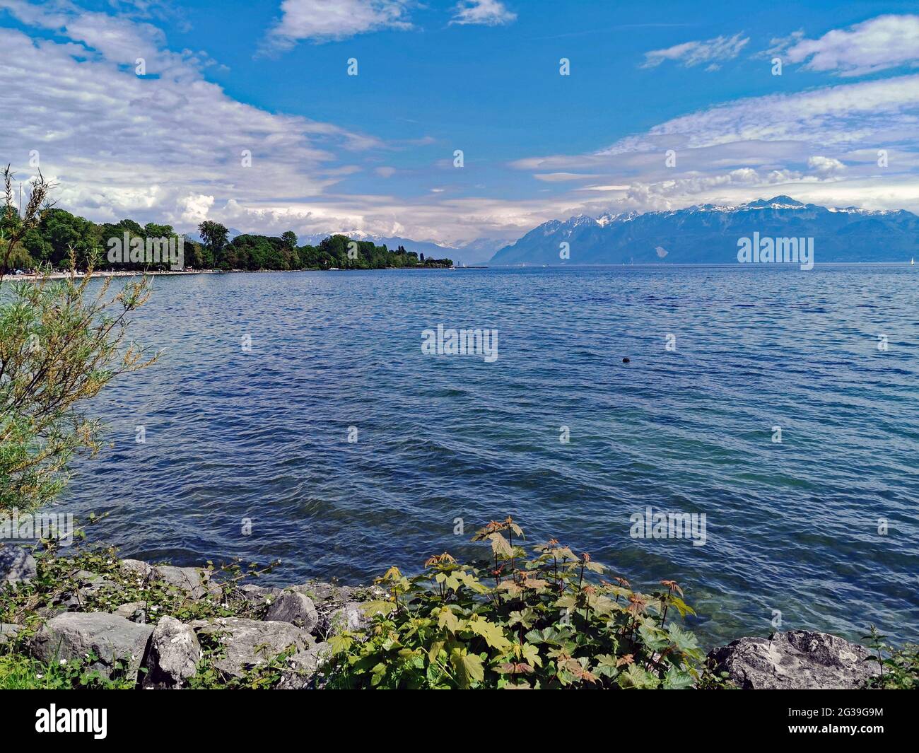 the Geneva Lake in Lausanne Switzerland Europe Stock Photo - Alamy