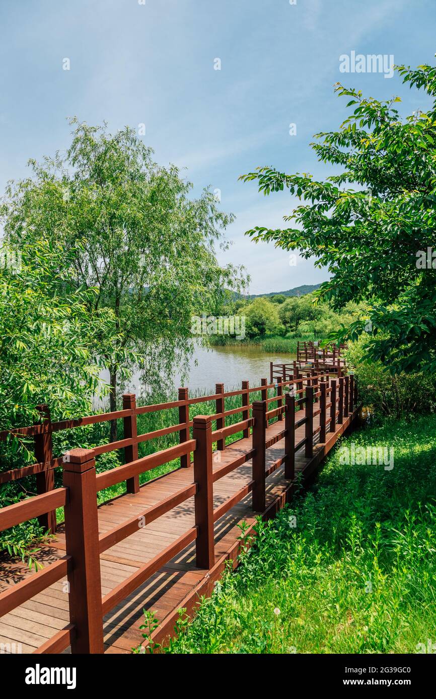Lake and forest trail at Incheon Grand Park in Korea Stock Photo - Alamy