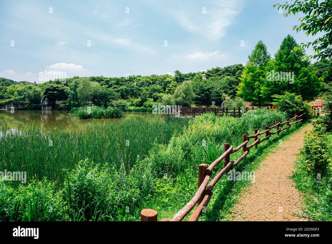 Incheon grand park hi-res stock photography and images - Alamy