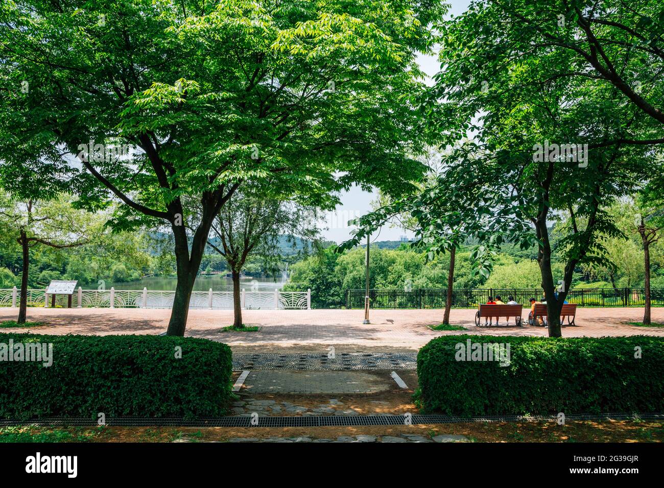 Summer of Incheon Grand Park in Korea Stock Photo - Alamy