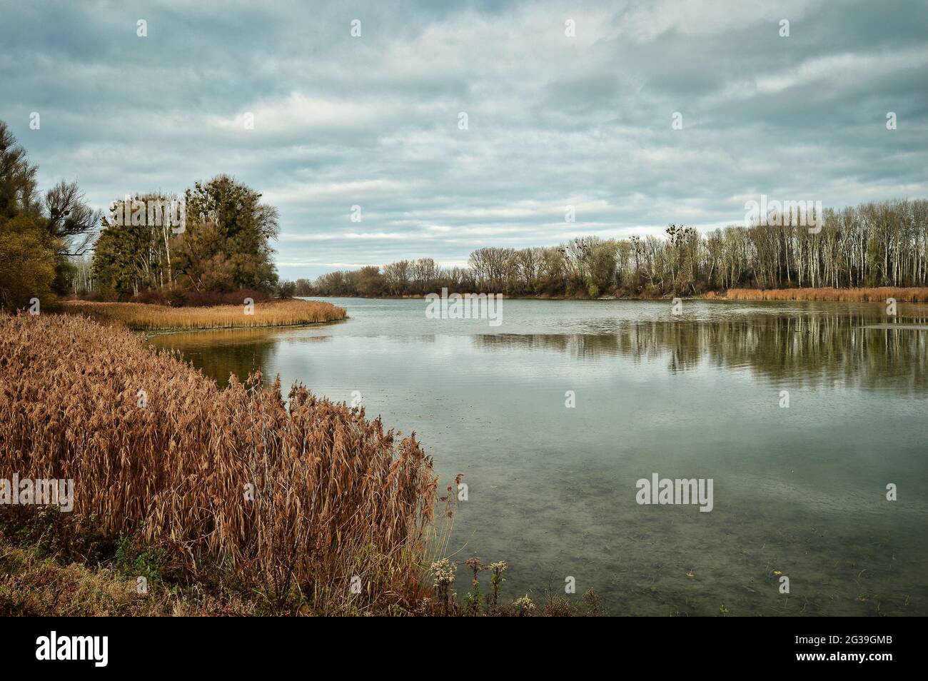landscape of austrian Donau river wild nature reserve area Stock Photo ...
