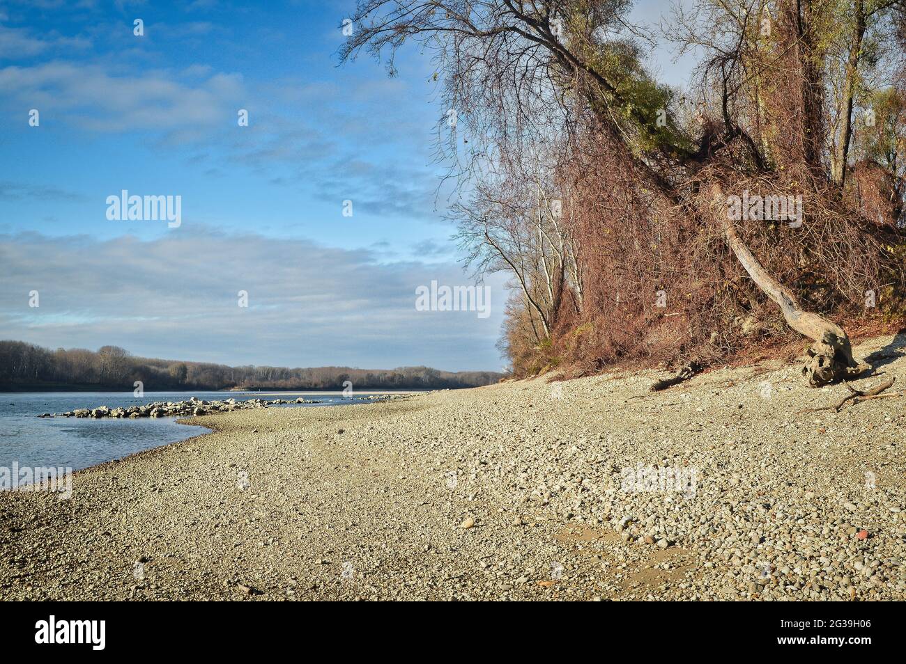 landscape of austrian Donau river beach - wild nature reserve area ...