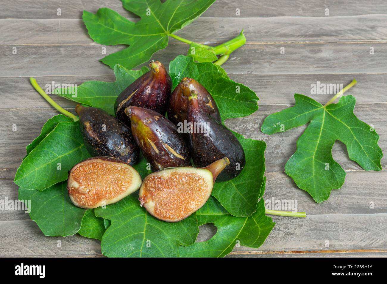 Cut portion of tree hi-res stock photography and images - Alamy