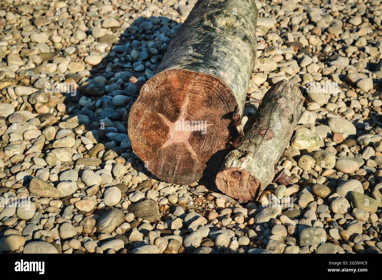 Inside branch hi-res stock photography and images - Alamy