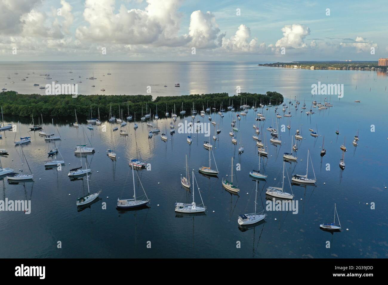 Aerial view of Dinner Key Marina and anchorage in Coconut Grove, Miami ...