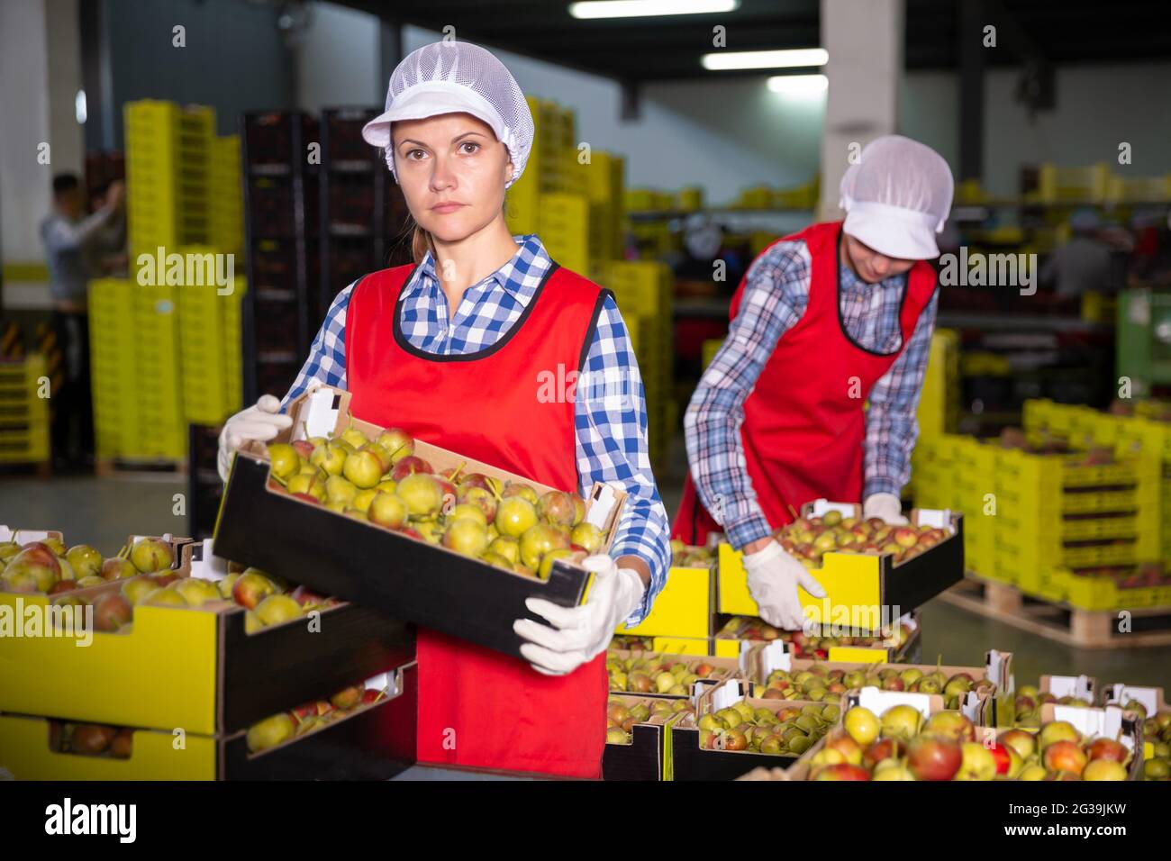 Woman employee working at fruit warehouse Stock Photo - Alamy