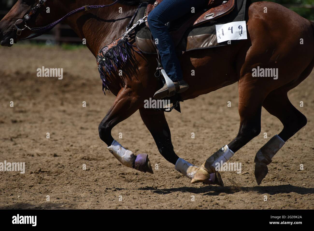 A horseback rider races across an arena during a county fair Stock ...