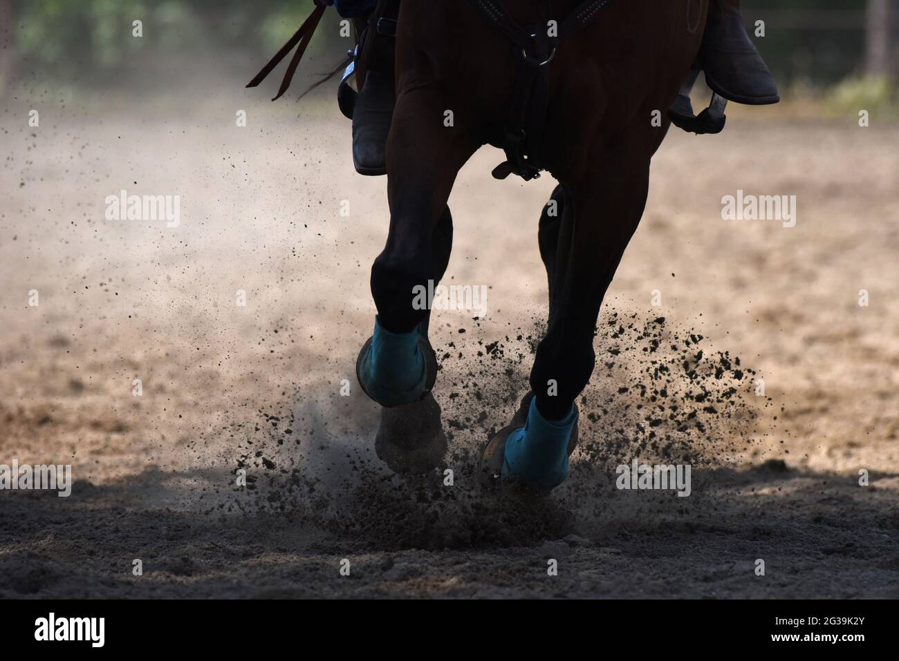 A horseback rider races across an arena during a county fair Stock ...