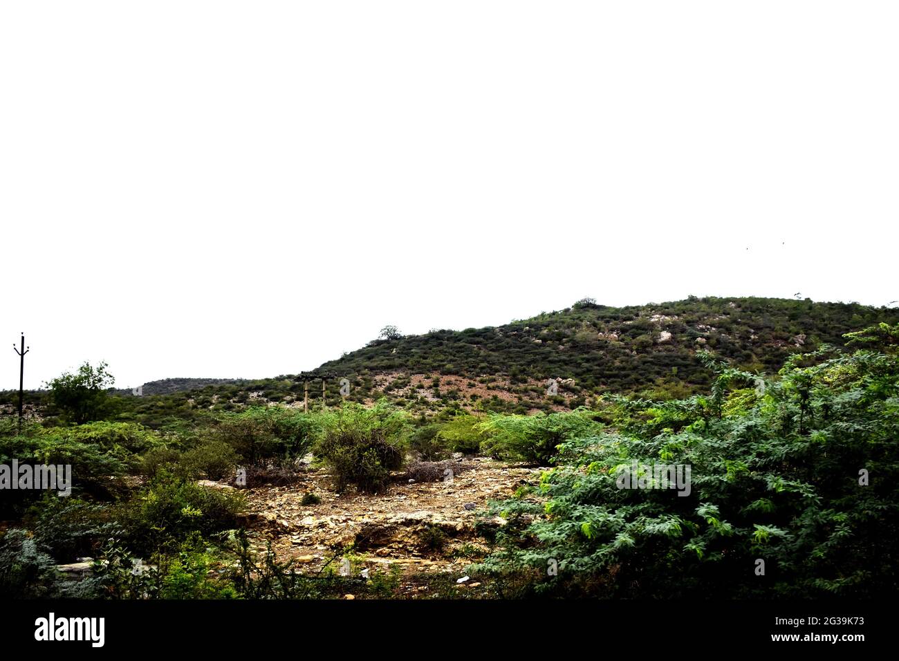 Green landscape on a gloomy day Stock Photo - Alamy