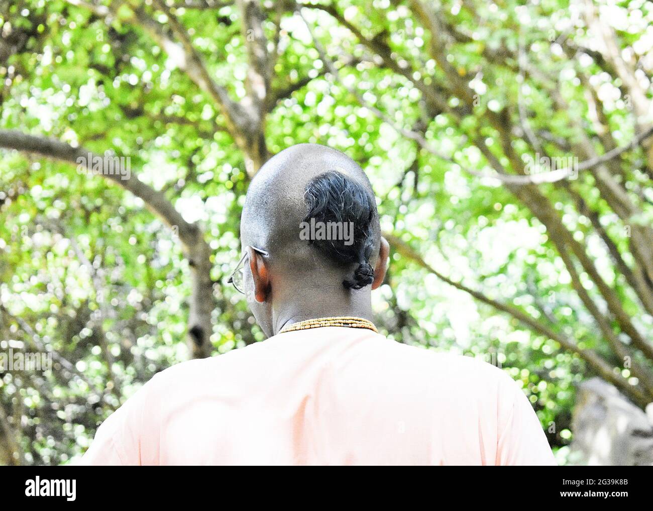Shallow focus of a man in the forest from behind Stock Photo - Alamy
