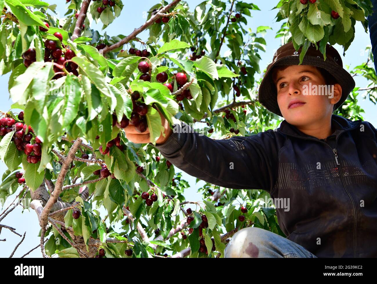 Syrian boy hi-res stock photography and images - Alamy