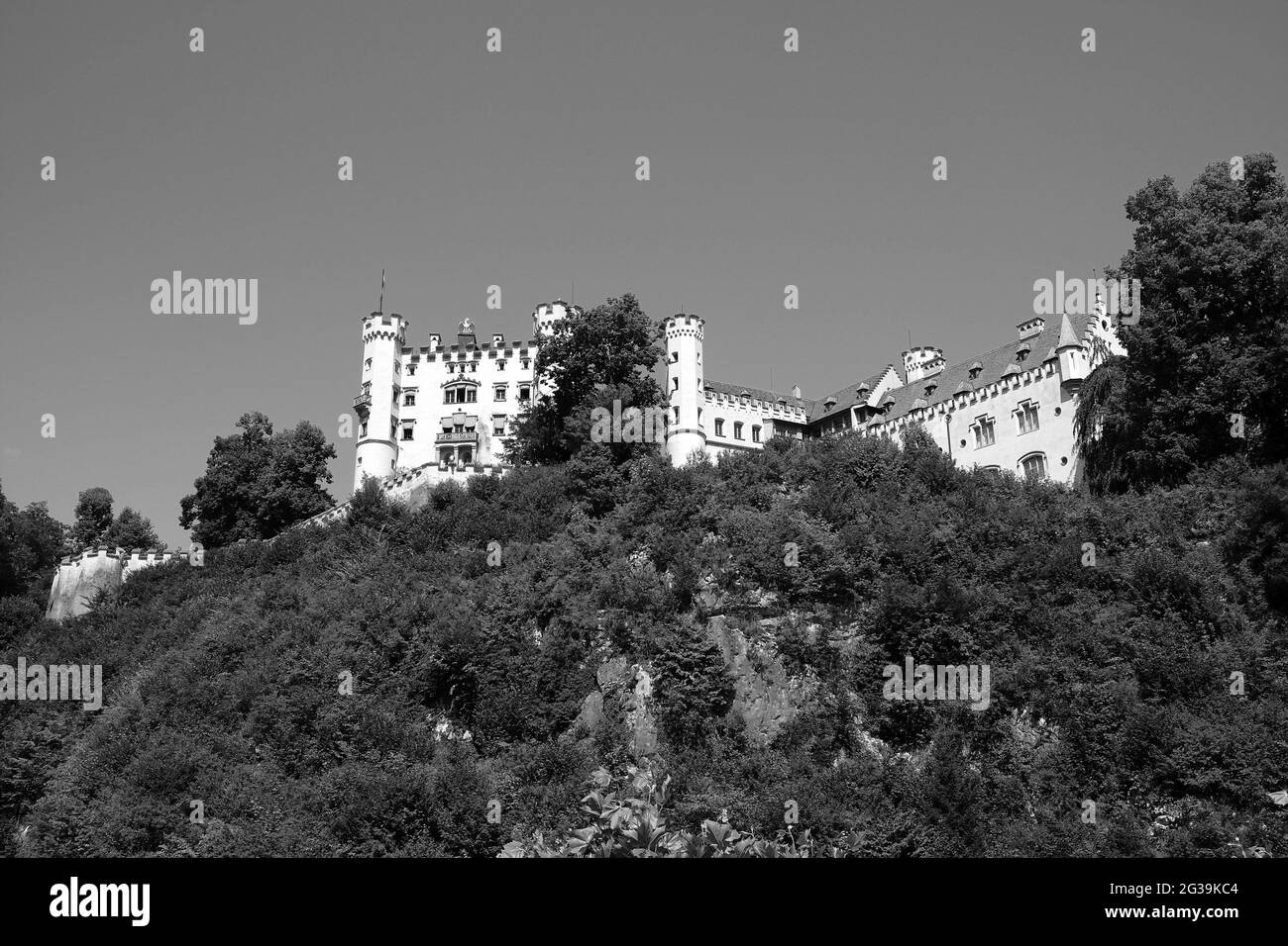 Grayscale shot of a white castle on the forested hill Stock Photo - Alamy