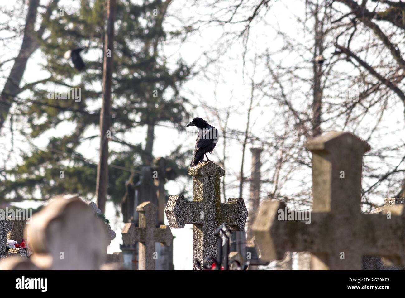 Black cemetery hi-res stock photography and images - Alamy