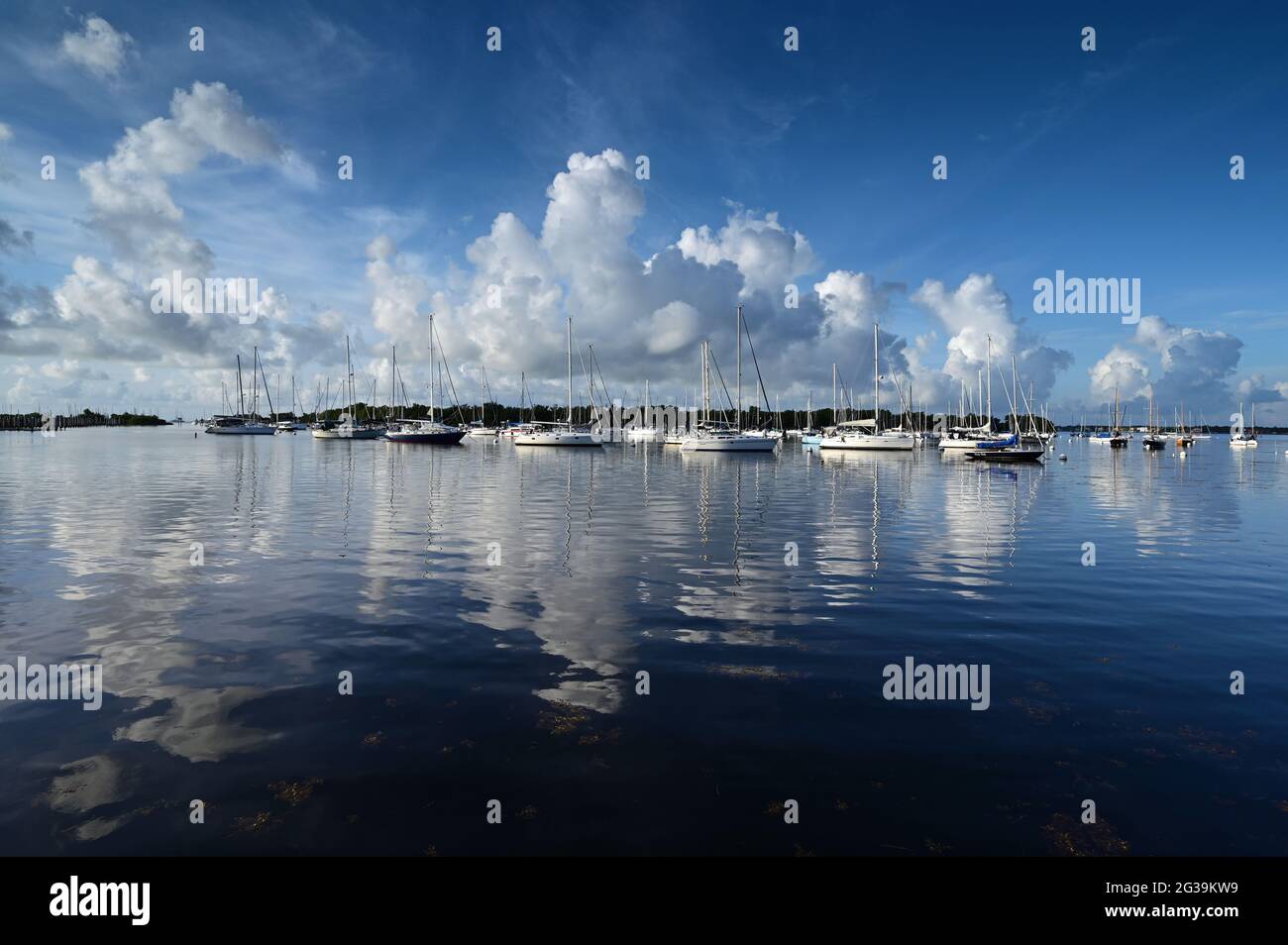 Bright summer cloudscape reflected in tranquil water of Dinner Key ...