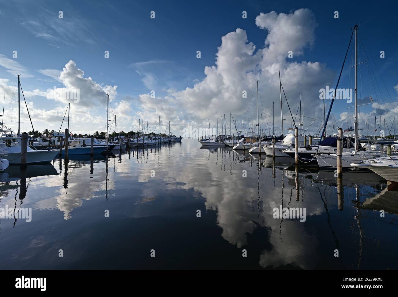 Bright summer cloudscape reflected in tranquil water of Dinner Key ...