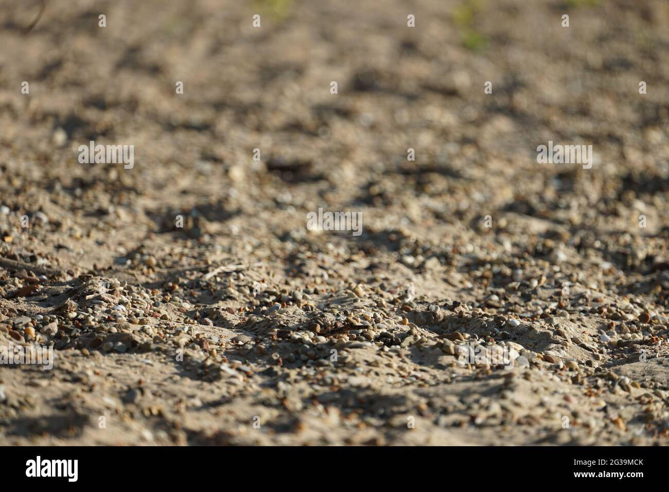Shallow focus of the soil ground in the daylight Stock Photo - Alamy