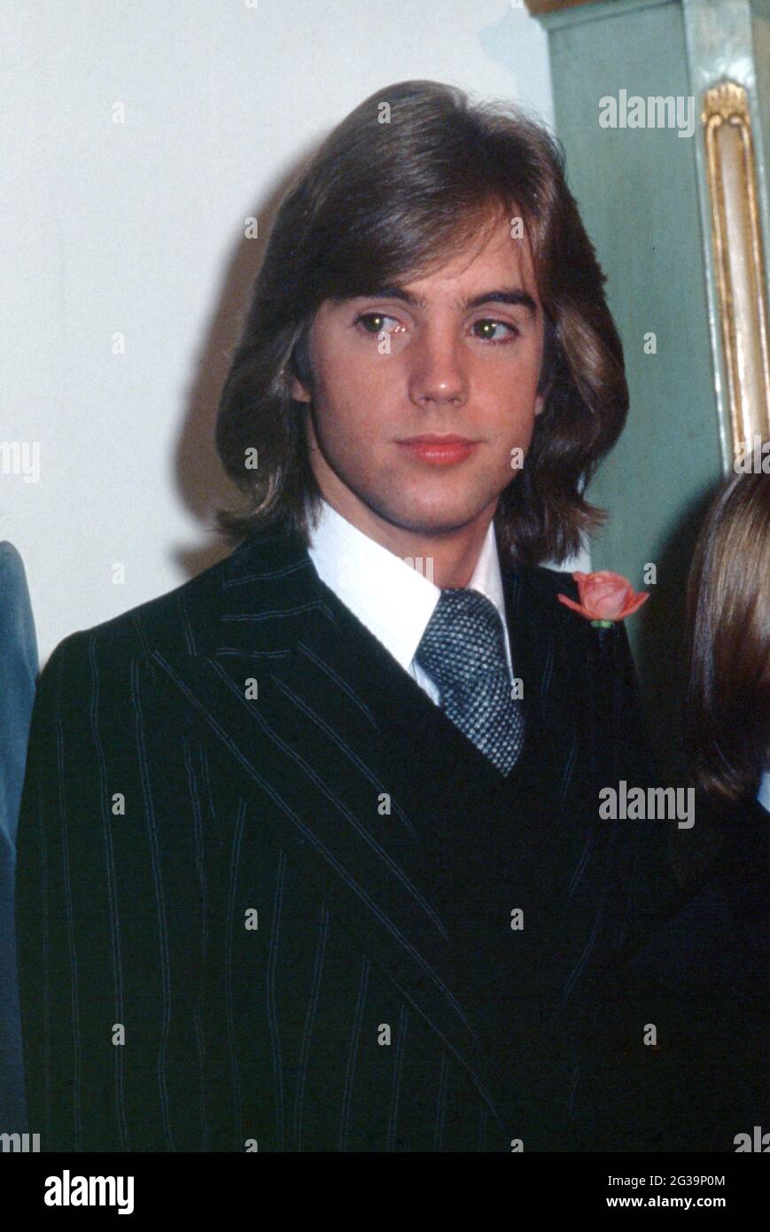 Shawn Cassidy Circa 1970's Credit: Ralph Dominguez/MediaPunch Stock ...