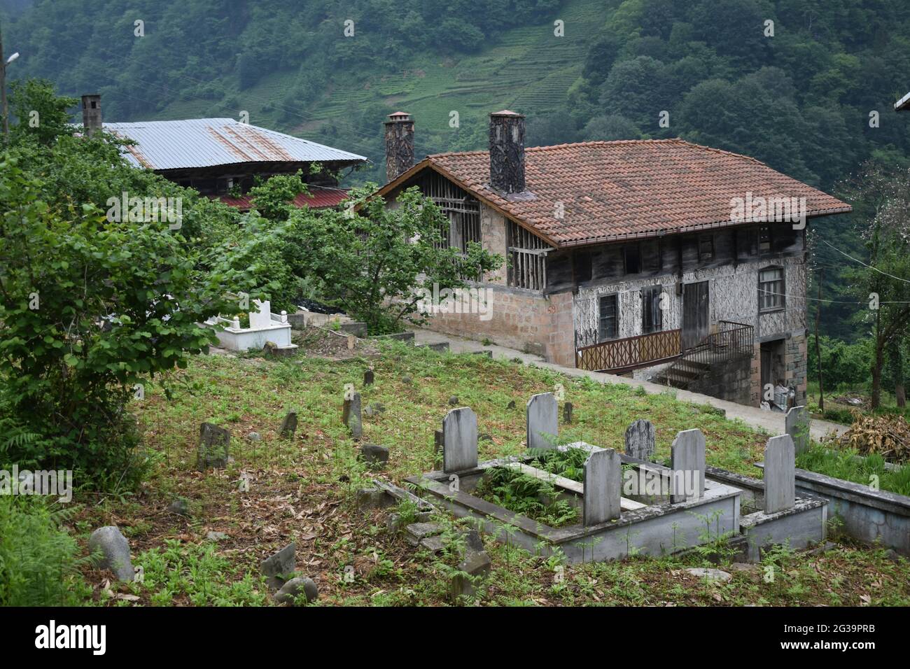 Grass graveyard hi-res stock photography and images - Alamy