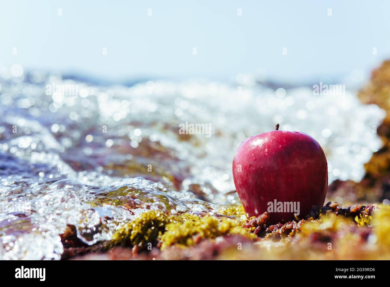 Selective focus shot of a juicy, vibrant red apple on the ground with ...