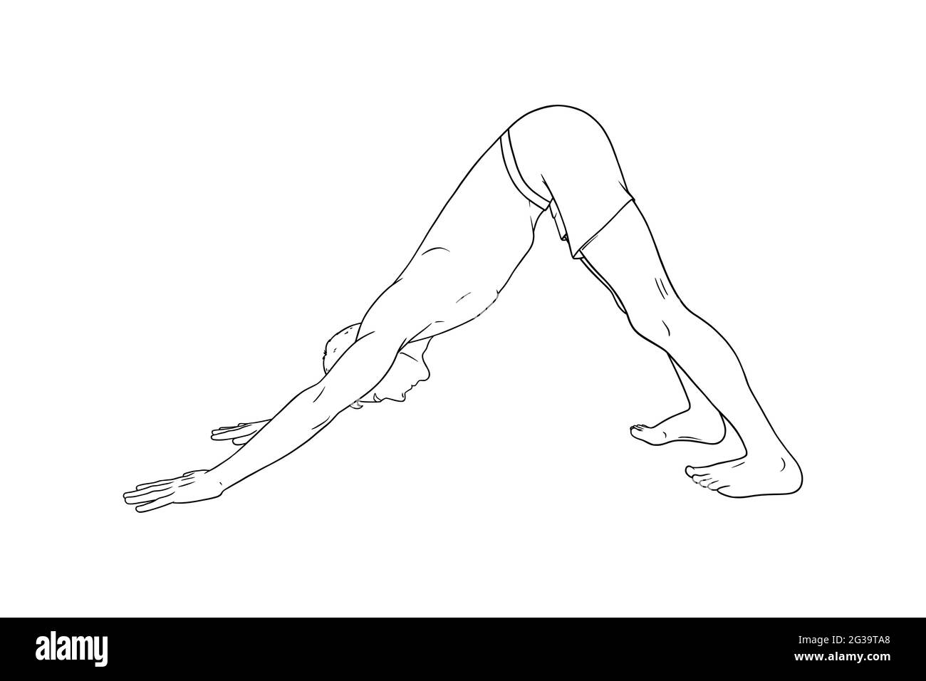 Downward Facing Dog Pose (Adho Mukha Svanasana) Dimensions, 51% OFF Downward Facing Dog Pose (Adho Mukha Svanasana) Dimensions, 51% OFF
