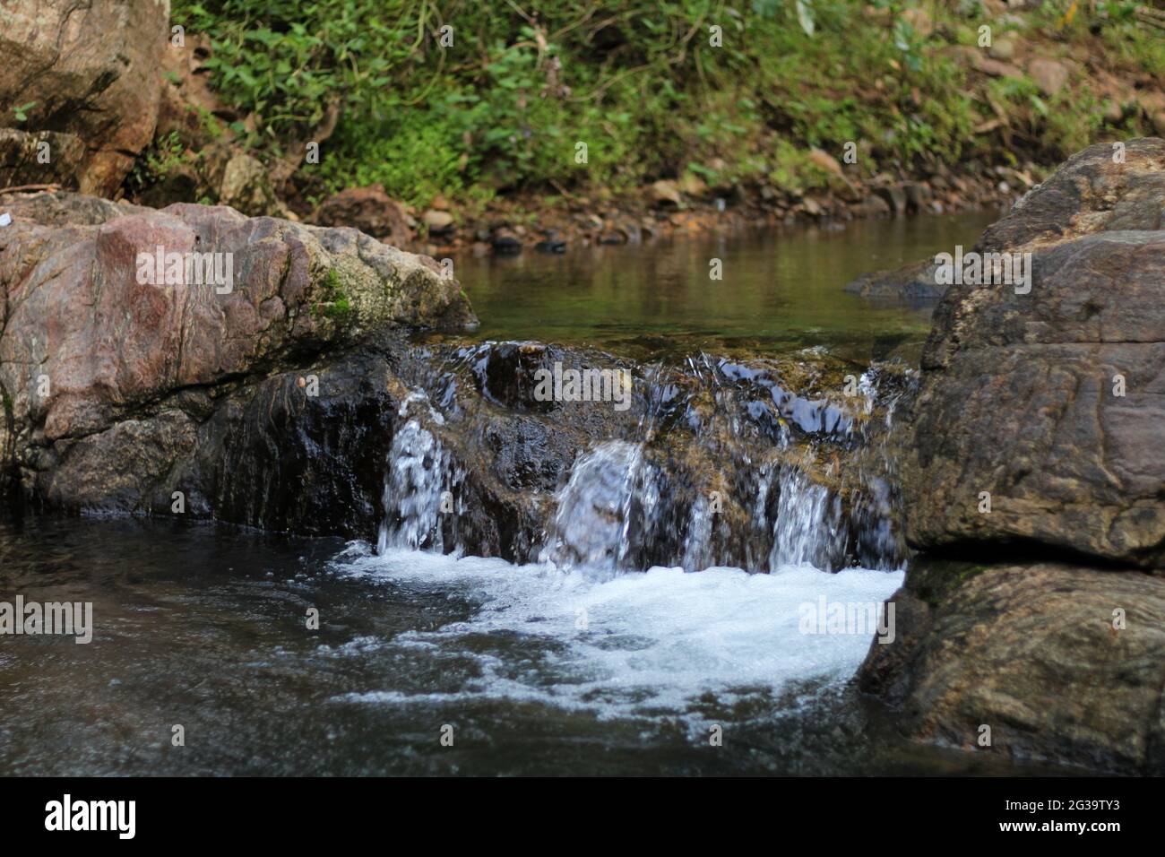 Small natural dam on a river surrounded by greenery in a field under ...
