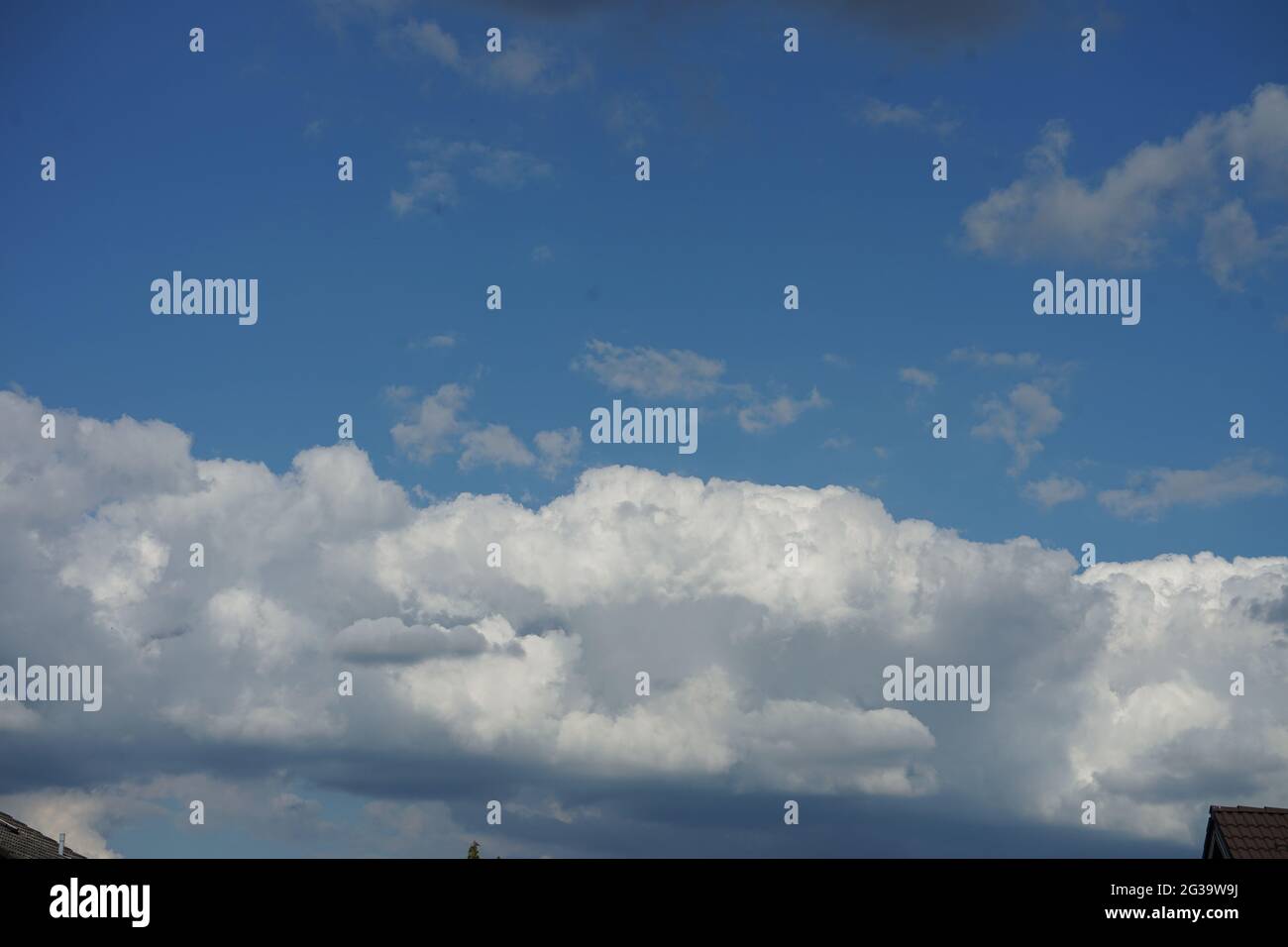Beautiful shot fluffy dense hi-res stock photography and images - Alamy