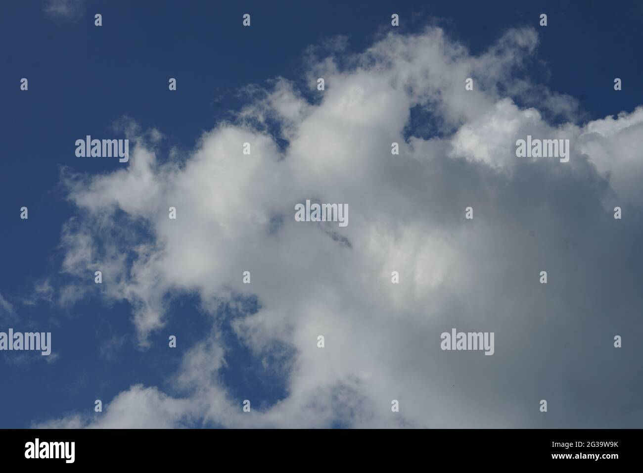 Beautiful shot fluffy dense hi-res stock photography and images - Alamy