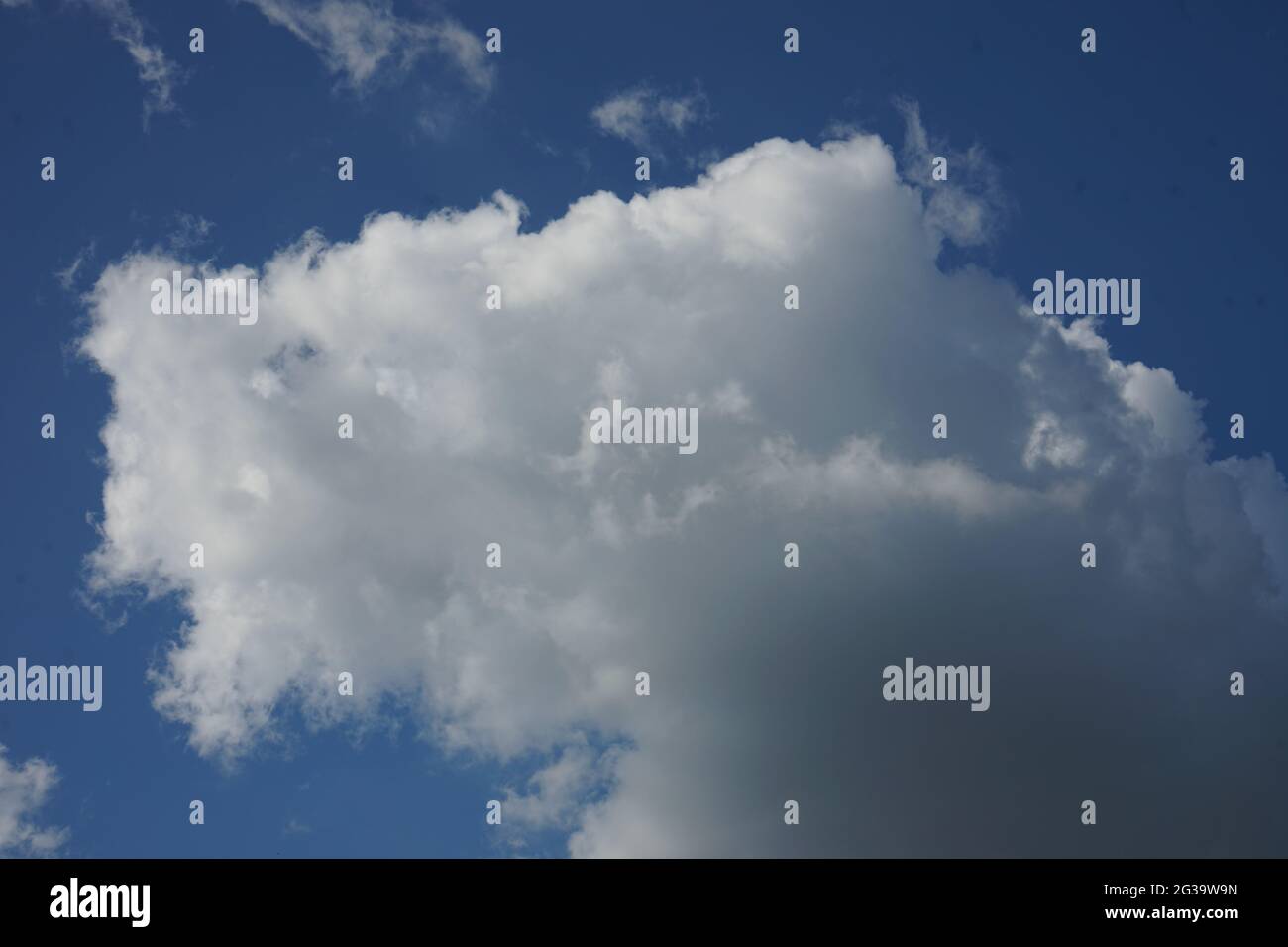 Beautiful shot fluffy dense hi-res stock photography and images - Alamy