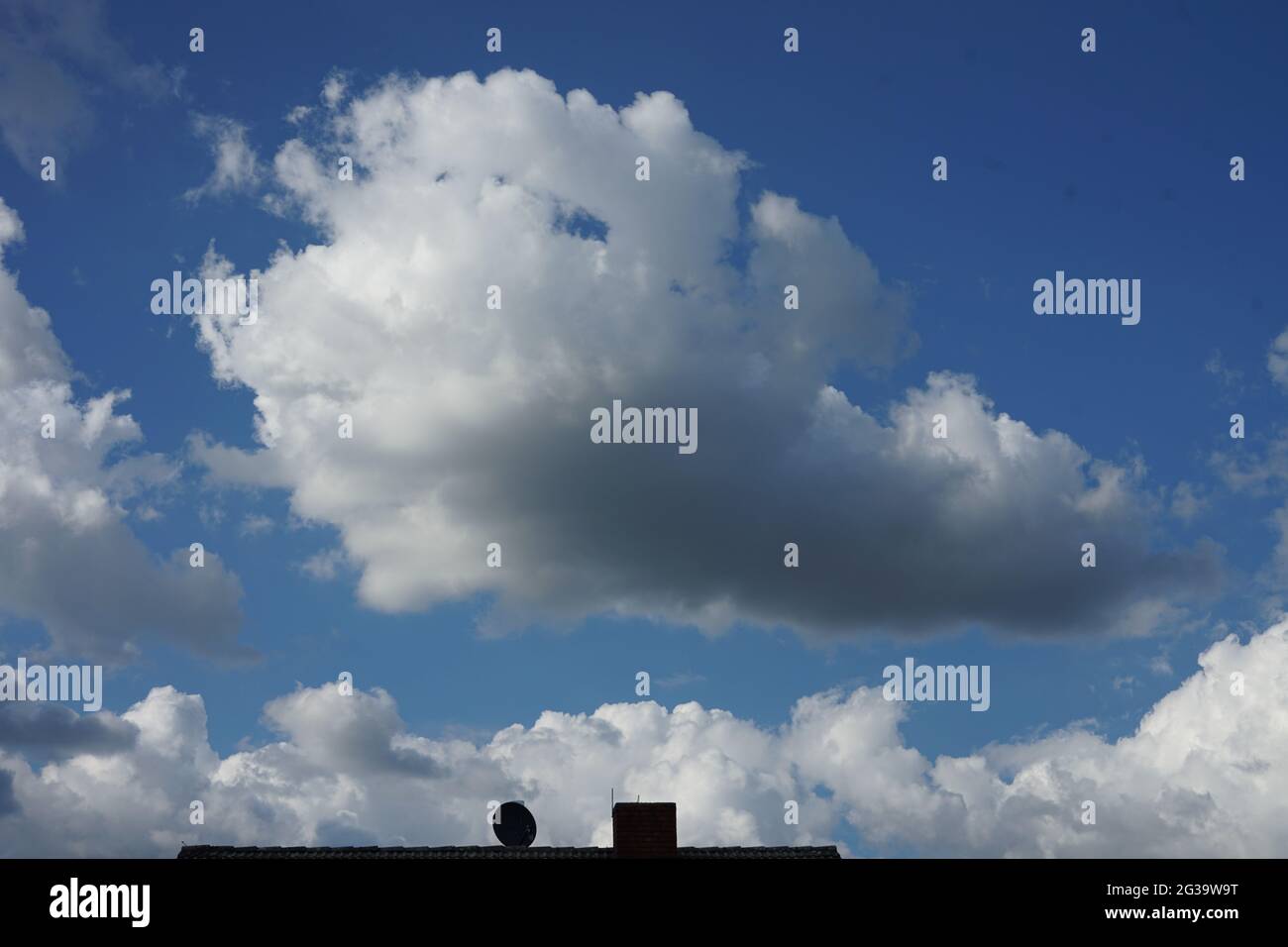 Beautiful shot fluffy dense hi-res stock photography and images - Alamy
